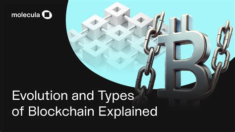 types of blockchain a comprehensive guide to different networks