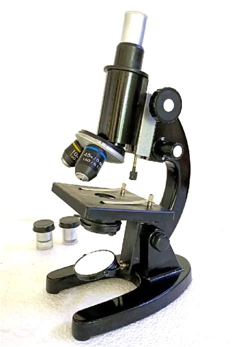 Compound Microscope At 2212 50 Inr In Ambala Cantt Haryana Mayalab Instrument