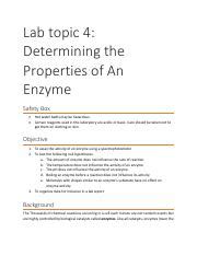 Understanding Enzyme Activity Lab Experiment Manual Course Hero