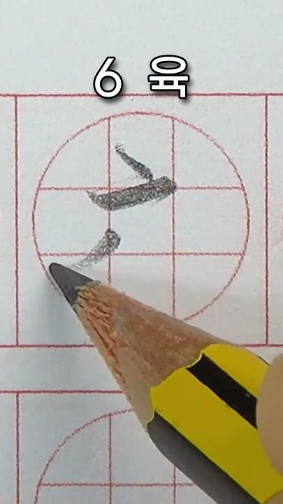 한자 숫자 쓰는 법 56789 오육칠팔구 한자 書道 書法 손글씨 Youtube