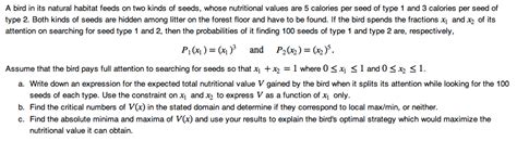 Calculus Idea Of How To Approach Exponential Functions Questions