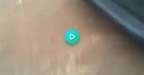 If You Have Lemons On Imgur If You Have Lemons On Imgur