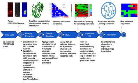 Machine Learning Of Multi Modal Tumor Imaging Reveals Trajectories Of Response To Precision