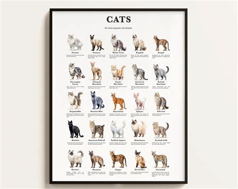 Sept 25 Popular Cat Breeds Cat Breeds Print Cats Poster Living Room