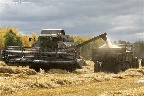 Курганская область заняла первое место в стране по темпам роста производства сельхозпродукции