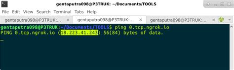 Cara Backconnect Web Shell Dengan Ngrok Dan Netcat