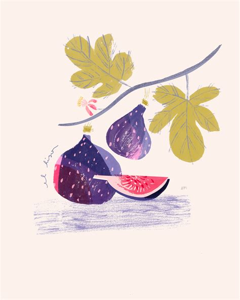 F Is For Fig On Behance