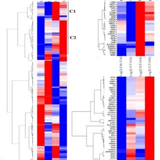 Hierarchical Clustering Of Differentially Regulated 0 3