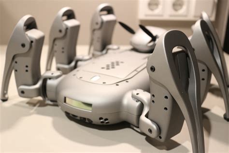 Hexapod Robot Anim4bot