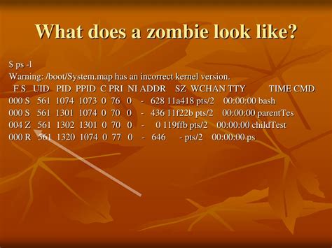 PPT Zombie And Orphan Processes PowerPoint Presentation Free Download ID 5580396