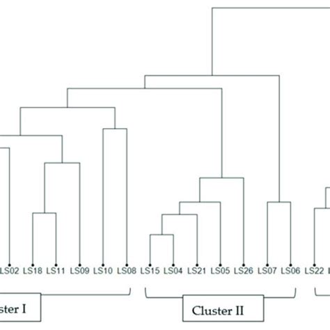 hierarchical clustering of 26 okra accessions based on phenotypic