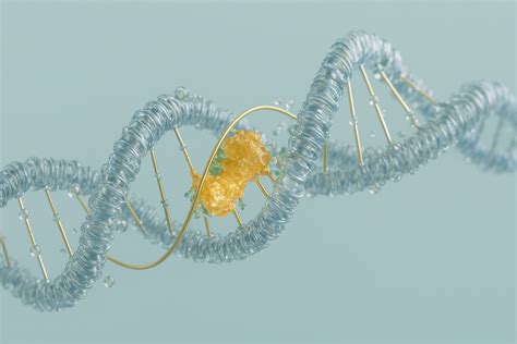 Cytosine Base Editing Enzyme Accubase® Base Editor Kactus