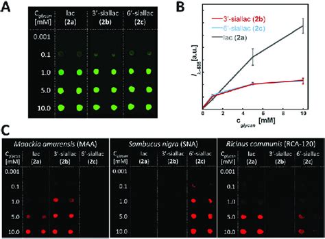 Density Variant Glycan Microarray Was Fabricated By Printing