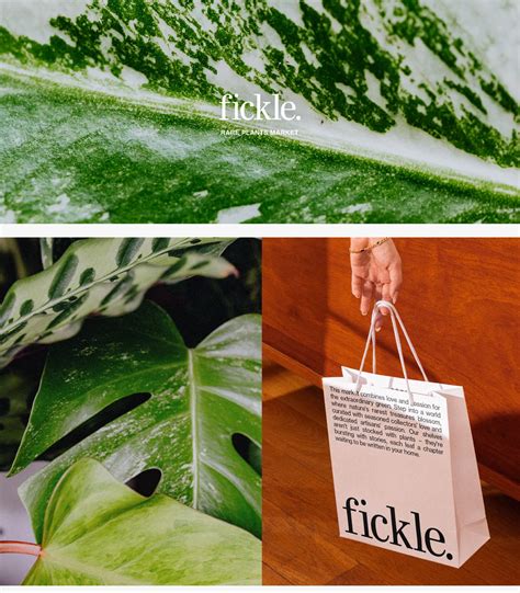 패키지부터 브랜딩까지 I 올인원디자인 크몽