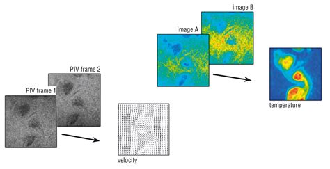 thermographic piv