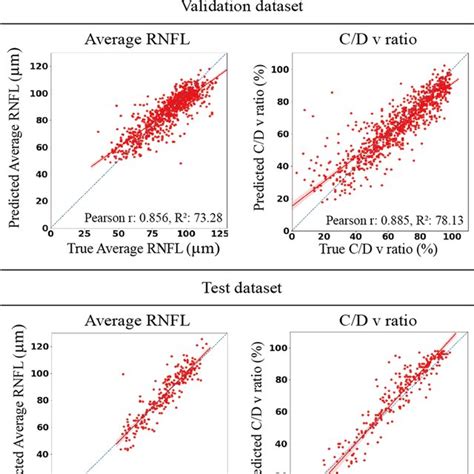 Regression Model For Predicting The Octa Acquired Cupdisc Vertical