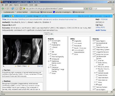 A Web Based Application For Image Indexing Annotation And Evaluation Download Scientific