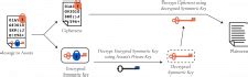 Public Key Cryptography Defend Dissent