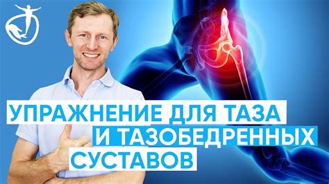 Как улучшить подвижность таза и тазобедренных суставов Простые упражнения Youtube