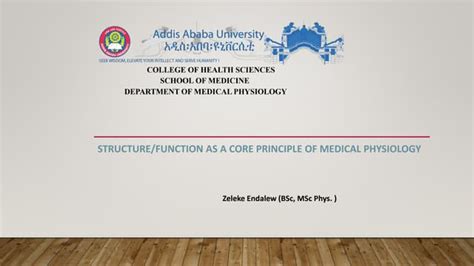 Structure Function Relationships In Medical Physiologypptx