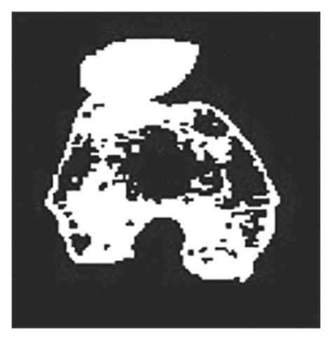 segmentation results by different image segmentation methods on two