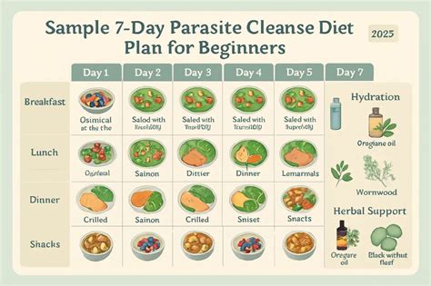 Parasite Cleanse Diet Plan For Beginners 2026 Guide