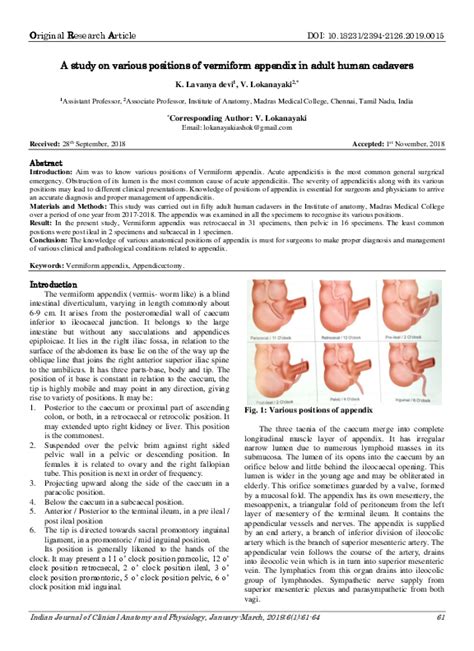 Pdf A Study On Various Positions Of Vermiform Appendix In Adult Human