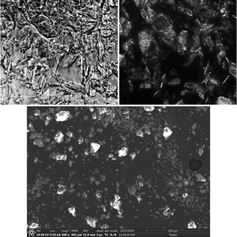 Differential Interference Contrast Microscopy Top Left Polarized