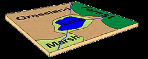 Vector Data Data Representation In GIS Download Scientific Diagram