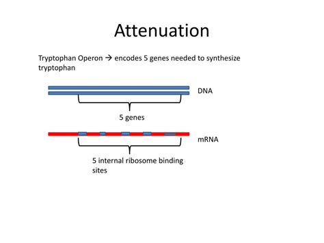 Ppt History Of Microbiology Powerpoint Presentation Free Download