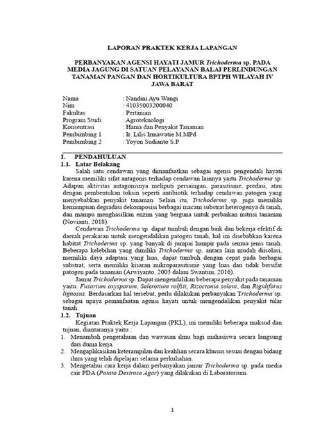 Perbanyakan Agensi Hayati Jamur Trichoderma Sp Pada Media Jagung Di Satuan Pelayanan Balai