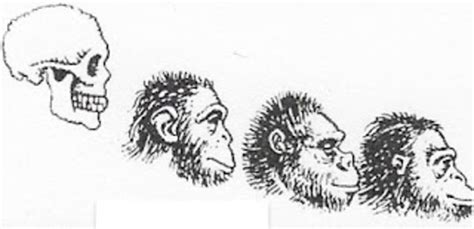 Class Az Class Free Download Borrow And Streaming Internet