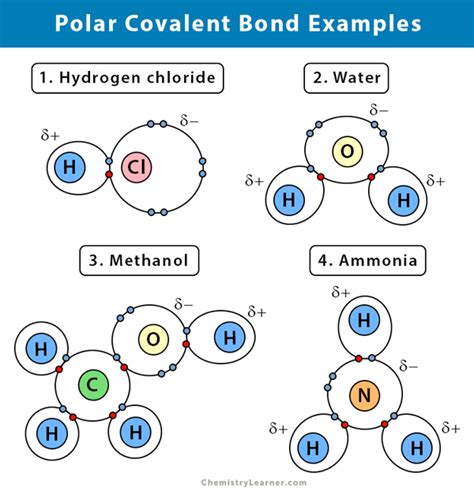Polar Covalent Bond Definition And Examples