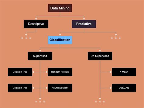 classification guide to understanding classification and its types