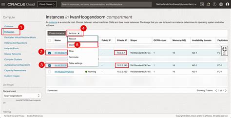 Use The Public Oci Flexible Network Load Balancer To Expose Your