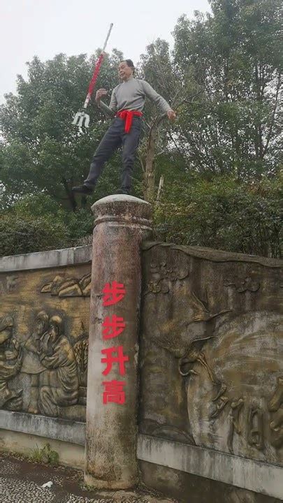 Dont Imitate Jiang Biaos Martial Arts High Stance Swing Youtube