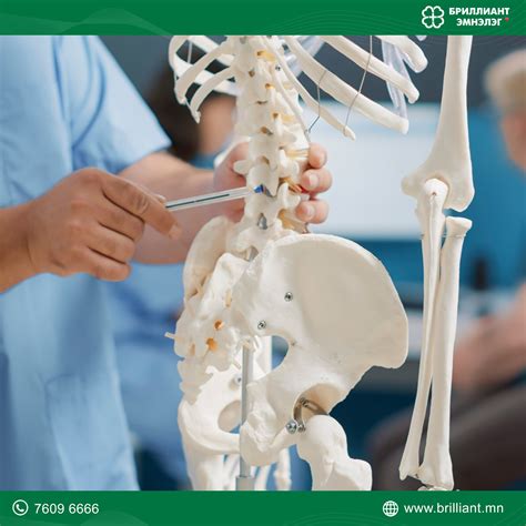 Нуруу нугасны үзлэг зөвлөгөө эмчилгээ мэс засал Нурууны нугалам хоорондын зээрэнцгийн