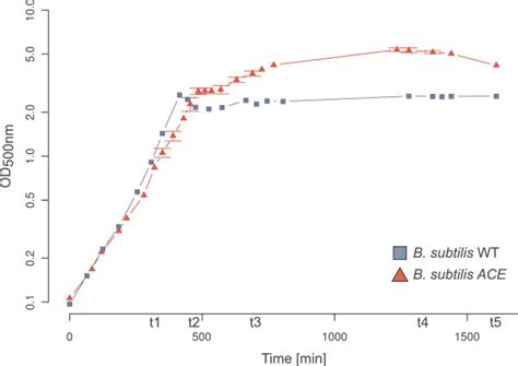 Growth Comparison Of The B Subtilis Wt And The Glyoxylate Shunt
