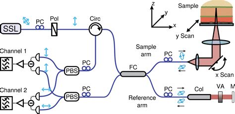 Polarization Sensitive Oct Obel