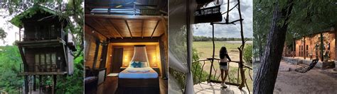 Choosing The Right Accommodation For Your Wilpattu National Park Safari