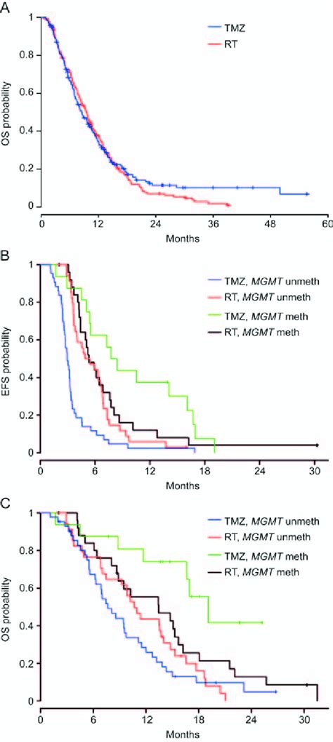 Survival By Mgmt Promoter Methylation Status And Treatment A Download Scientific Diagram