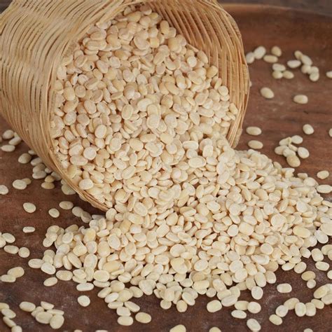 White Urad Dal Pan India High In Protein At ₹ 120kg In Salem Id