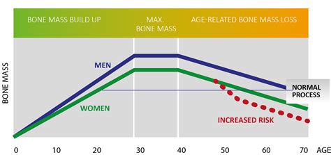 Bone Density Chart A Visual Reference Of Charts Chart Master