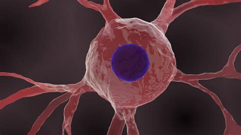 3d model astrocyte turbosquid 2026185