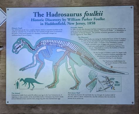 Hadrosaurus Foulkii Unearthing The Fossil Site And Sculpture — Garden