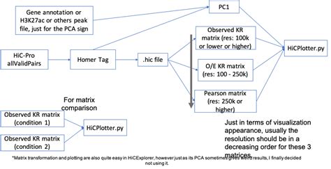 Hic Data Visualization — Hemtools Latest Documentation Hic Data Visualization — Hemtools Latest Documentation