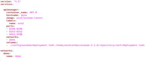 how to run wso2 api manager in docker yenlo