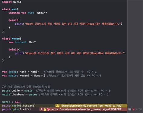 Swift 기초 Strong Weak Unowned 강한 순환 참조