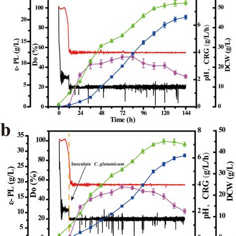 fed batch fermentation of ε pl with different fermentation strategies