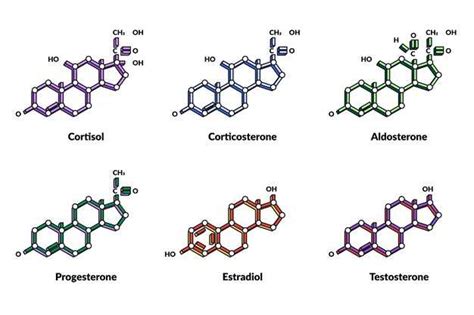 Levothyroxine Structure